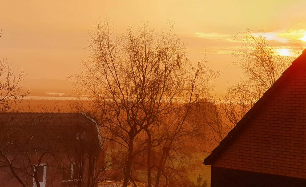 Goedemorgen! Prachtig ochtendlicht in Noorden - De Nieuwkoper