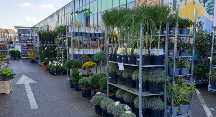 Intratuin Ter Aar start met lockdownverkoop - De Nieuwkoper