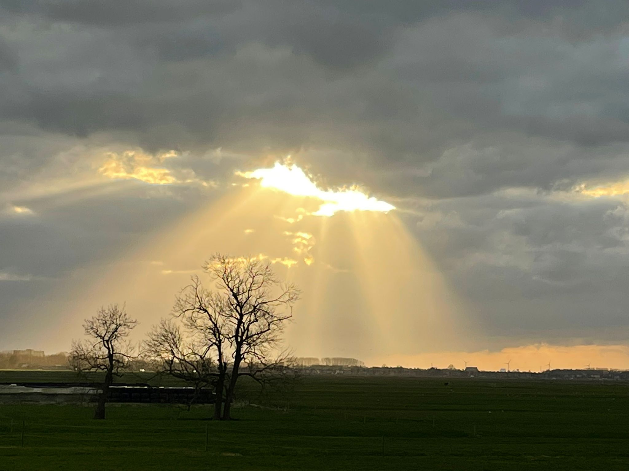 Goedemorgen! Zon brandt gat in de wolken - De Nieuwkoper